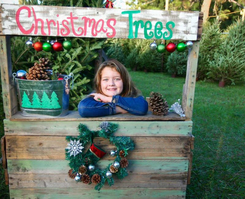 What Type of Tree is a Christmas Tree? | The Types Explained