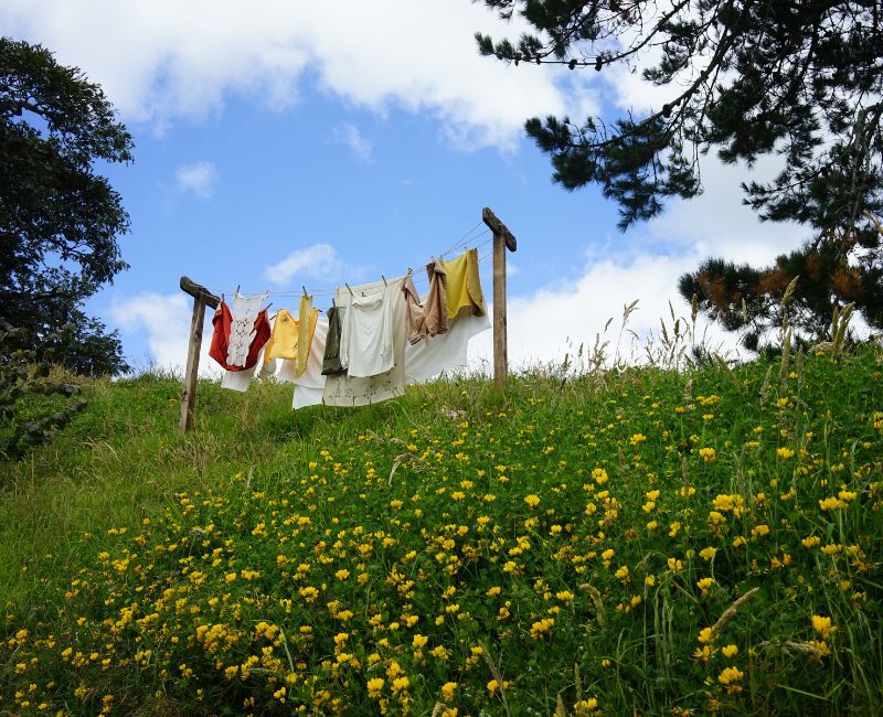 Laundry Habits for a Better Environment | Simple Tips for a Greener Routine