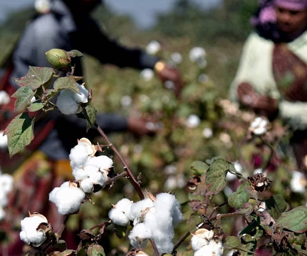 Our Organic Mission + Values | All Cotton and Linen